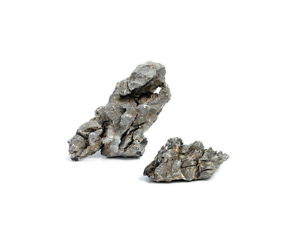 Acuarios Plantados - Roca Amano