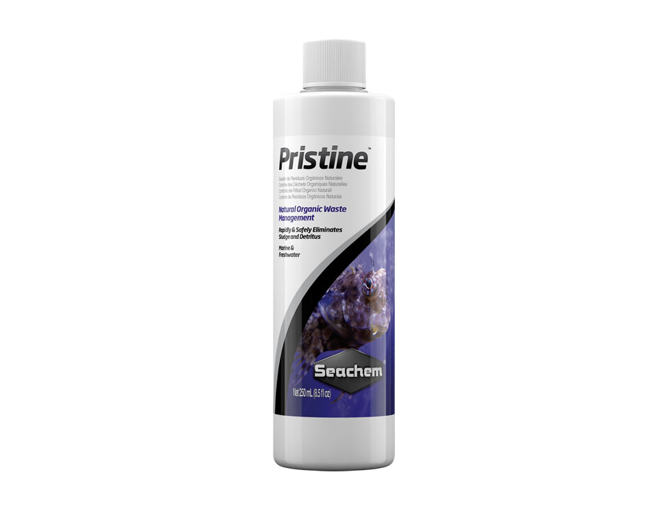 Acuarios Plantados - Seachem Pristine 100ml